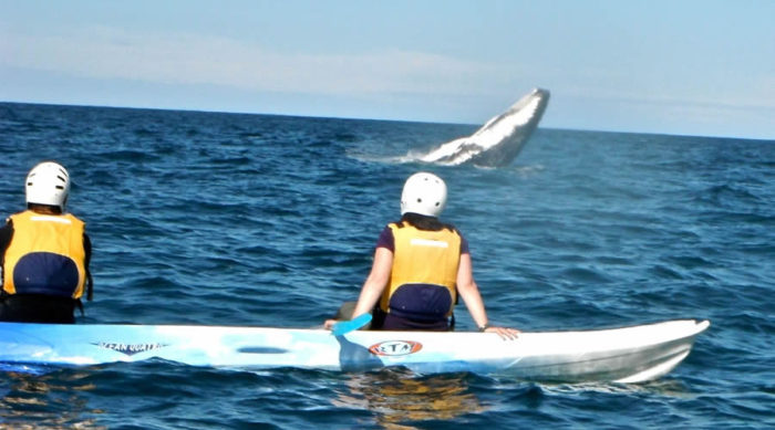 Gallery - Kayak Tours Byron Bay