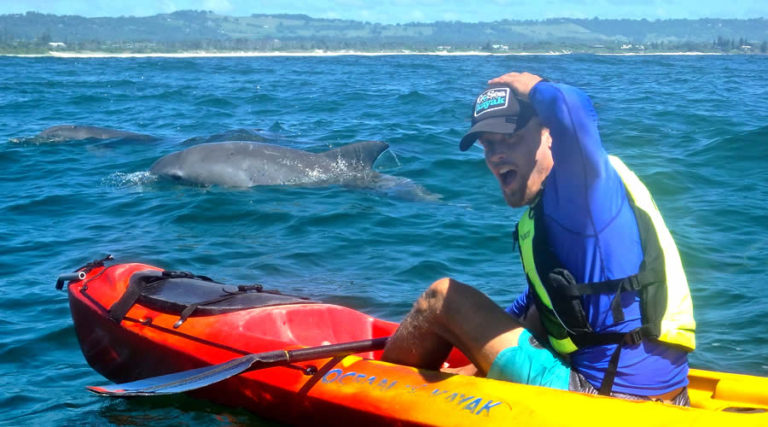 Gallery - Kayak Tours Byron Bay