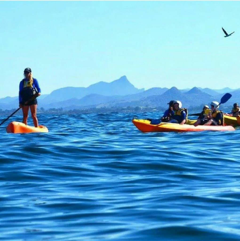 Summer at Go Sea Kayak - Kayak Tours Byron Bay