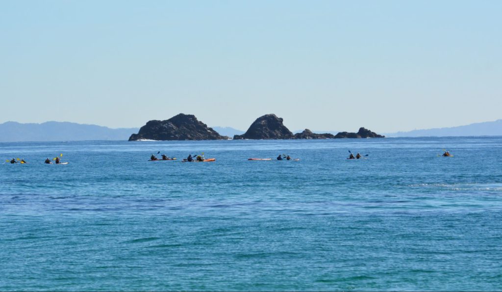 How to kayak to Julian Rocks and not need a rescue - Kayak Tours Byron Bay